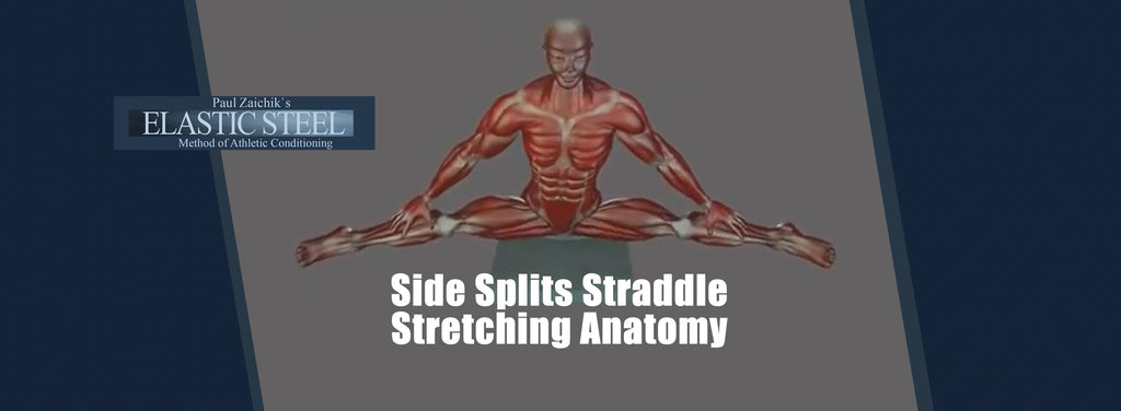 Side Splits Straddle Stretching Anatomy — ElasticSteel
